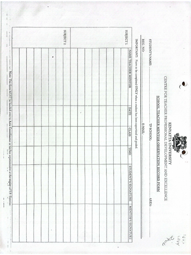 Mentor Observation Form | PDF
