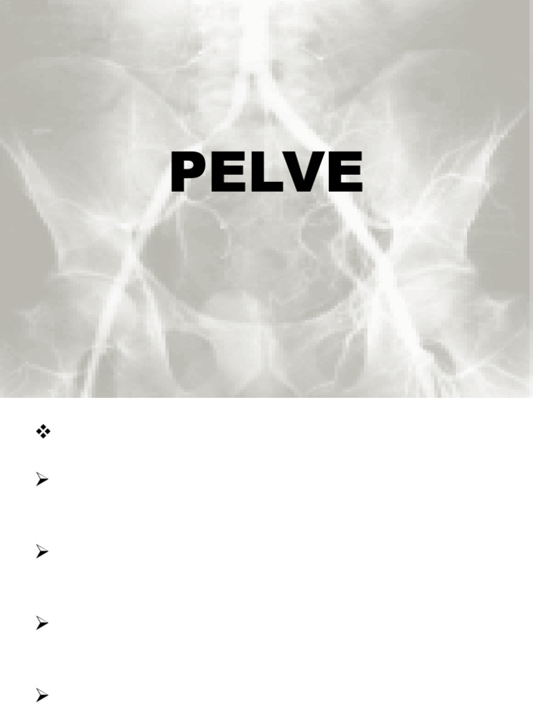 Anatomia da Pelve e Períneo | PDF | Pélvis | Abdômen
