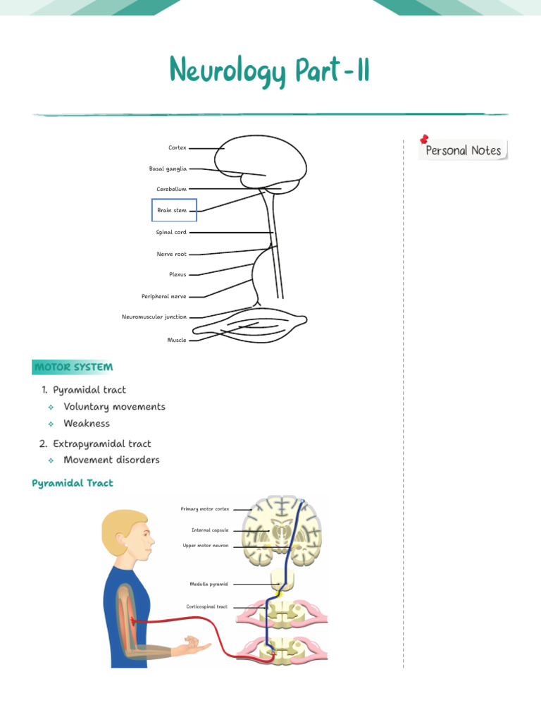 Neurology Part-2 (Localization, Headache, Stroke, MND) | PDF | Headache | Stroke