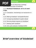 Julián Banzón: Pioneer of Biodiesel | PDF