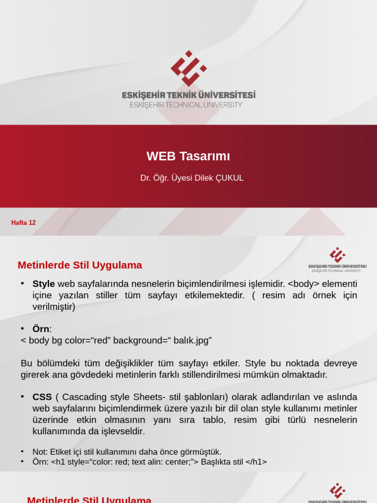 Web Tasarımı Mergen Modül 13 Yenii | PDF