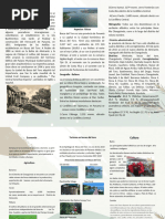 Características y límites de la región Brunca | PDF | Costa Rica