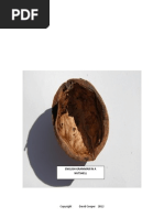 Short Book of The Drow Language | PDF | Drow (Dungeons & Dragons ...