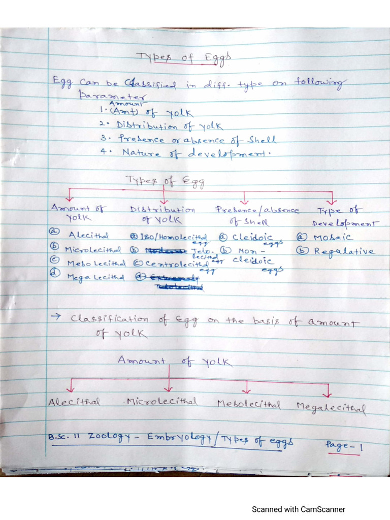 Zoology - Embryology (Types of Eggs) (B.SC 2) | PDF