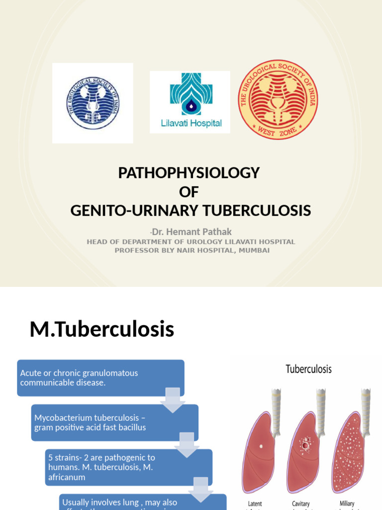 Pathophysiology of Gutb | PDF | Tuberculosis | Kidney