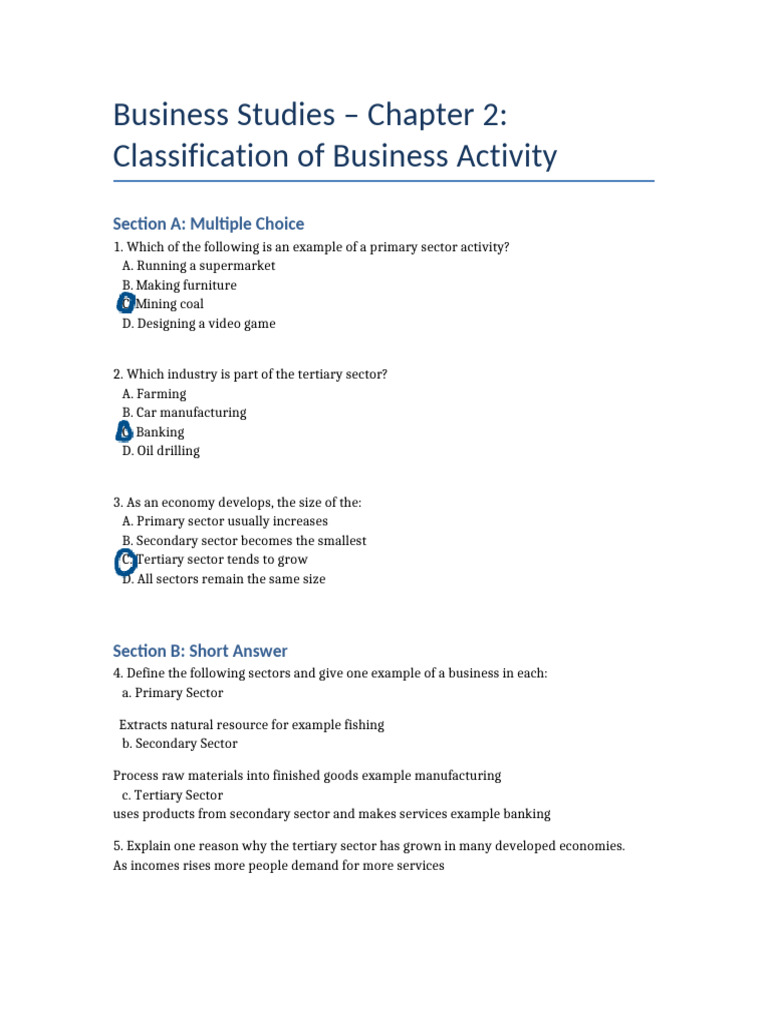 Chapter 2 Business Classification Practice | PDF