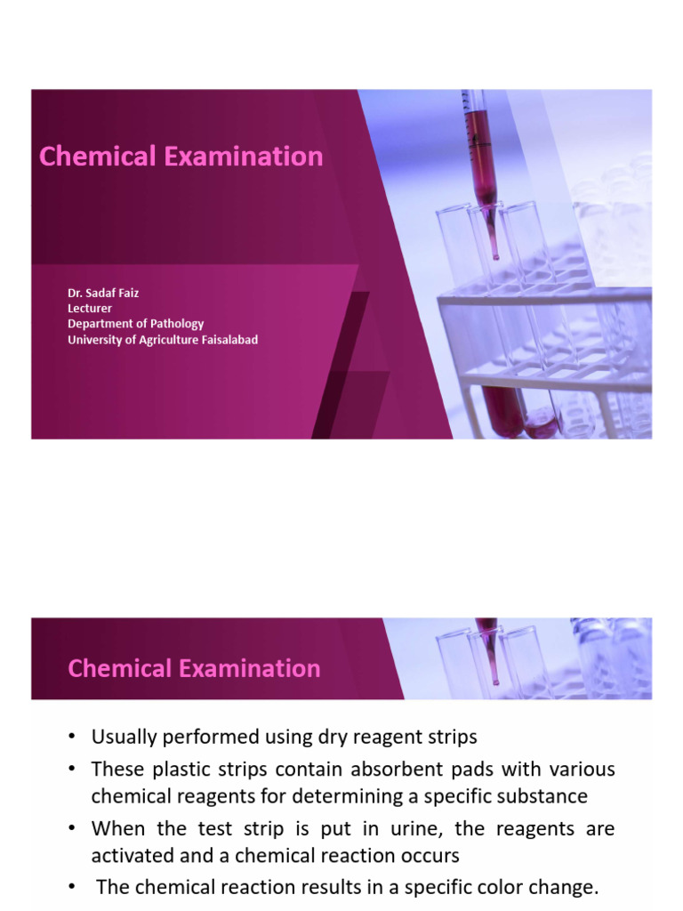 Complete Urine Examination 2 | PDF | Kidney | Medical Specialties