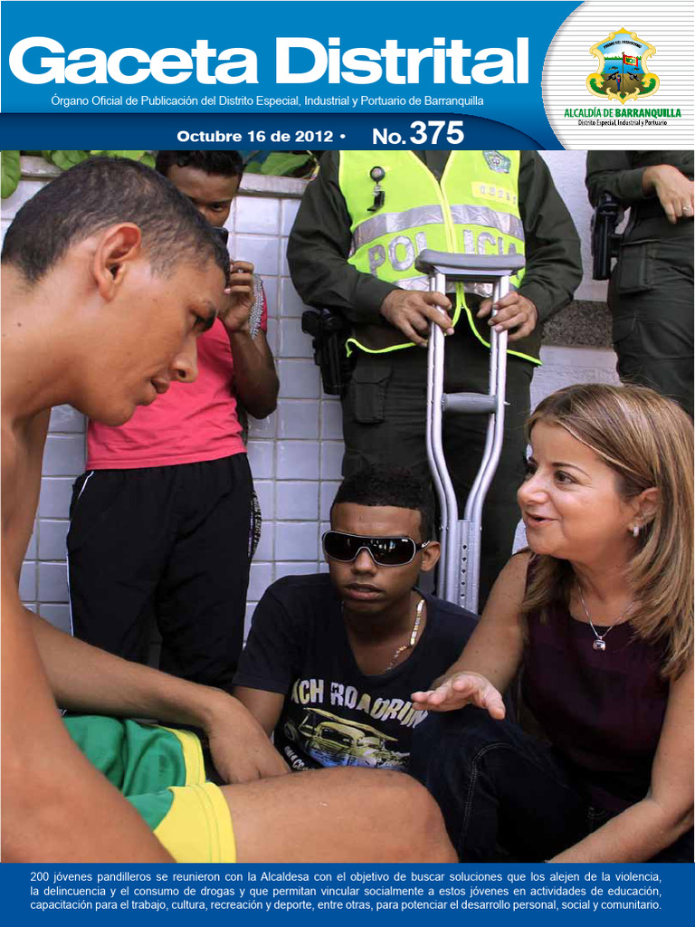 Gaceta 375 | PDF | Presupuesto