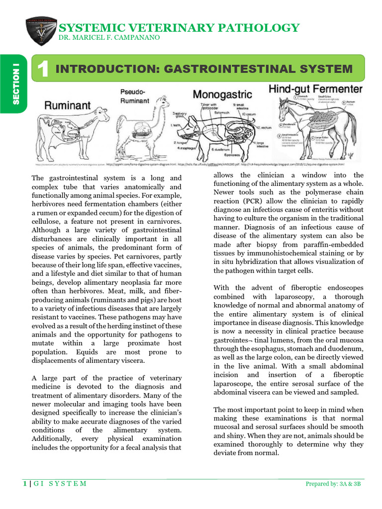 Digestive System Pathology Overview | PDF | Digestion | Stomach