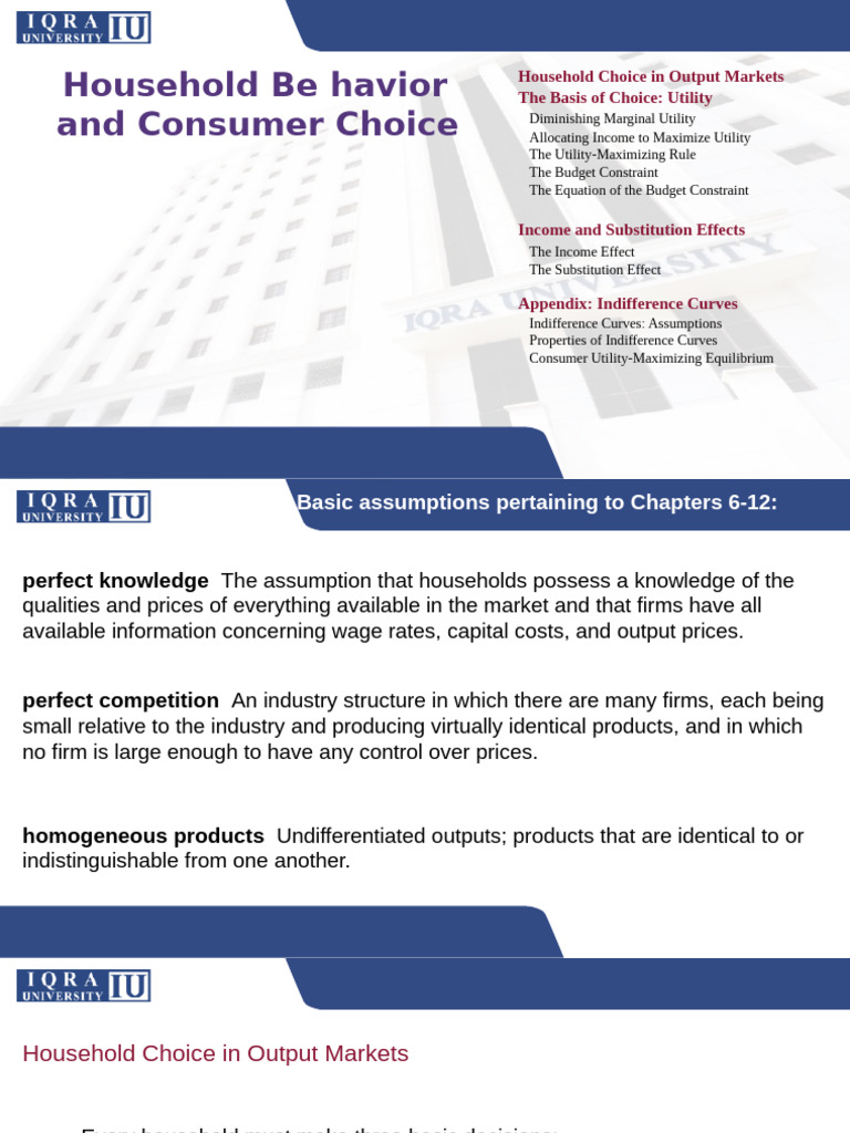 Household Behavior Consumer Choice | PDF | Utility | Marketing