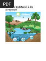 Natural Disasters Notes Grade 3 To 6 | PDF | Natural Disasters ...