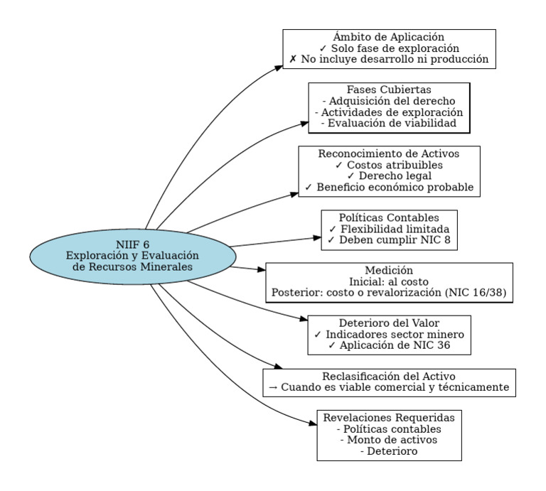 NIIF 6 Mapa Conceptual | PDF
