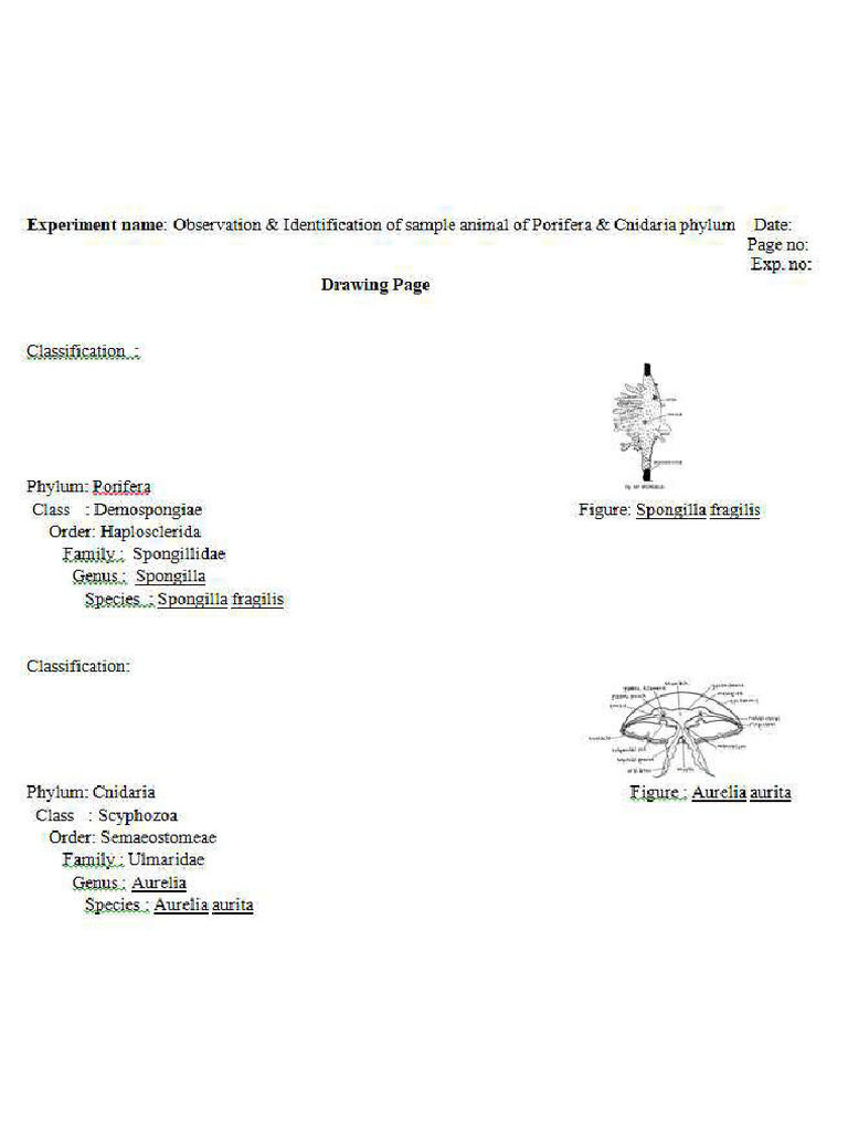 Zoology Chapter 1 | PDF