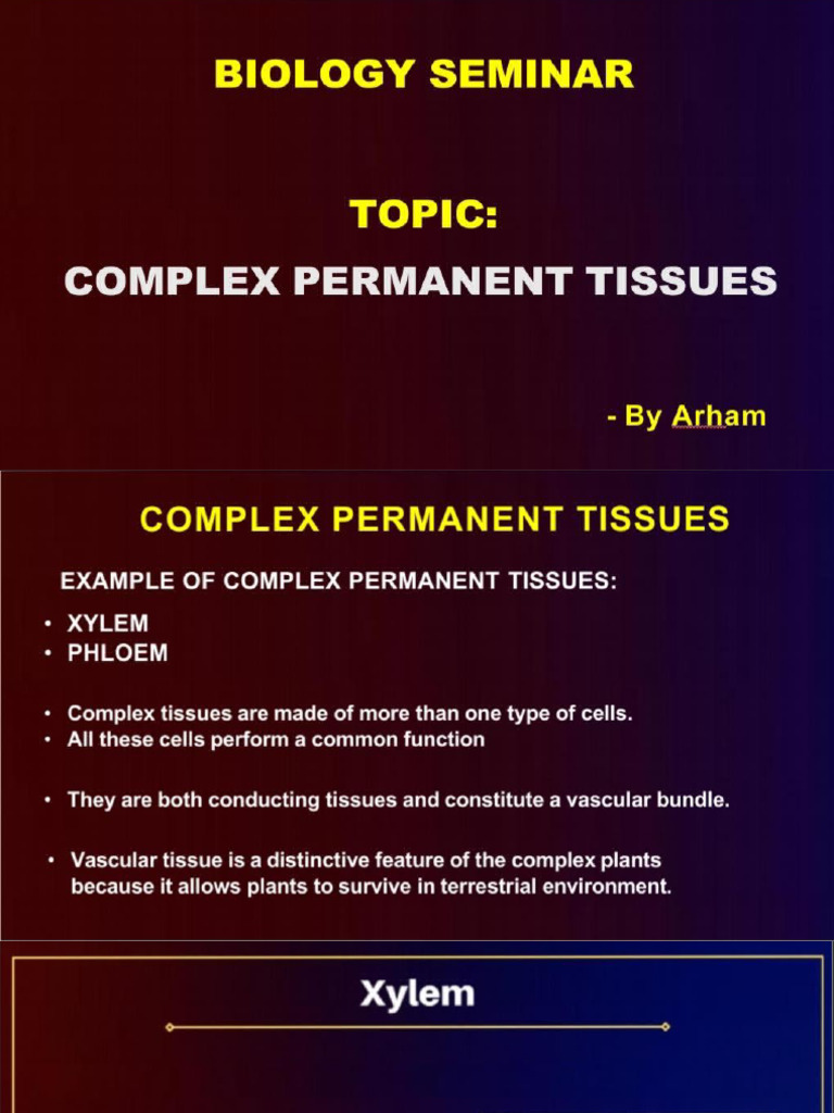 Tissues Tissues Tissues | PDF