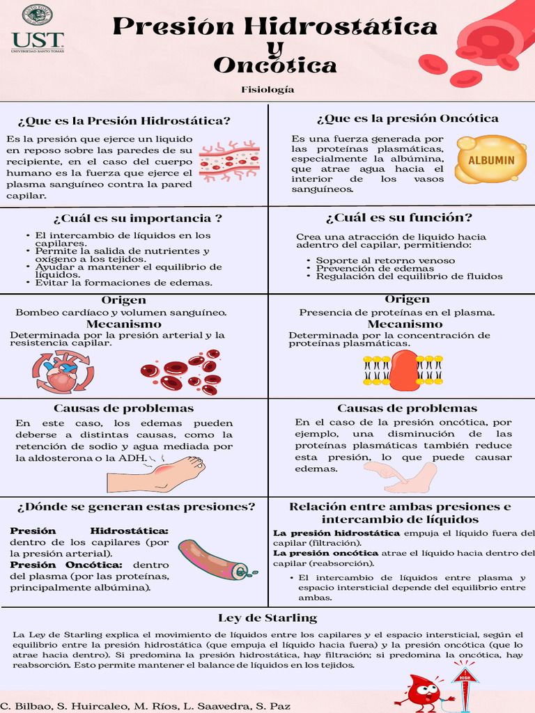 Presión Hidrostática y Oncótica: Conceptos Clave | PDF