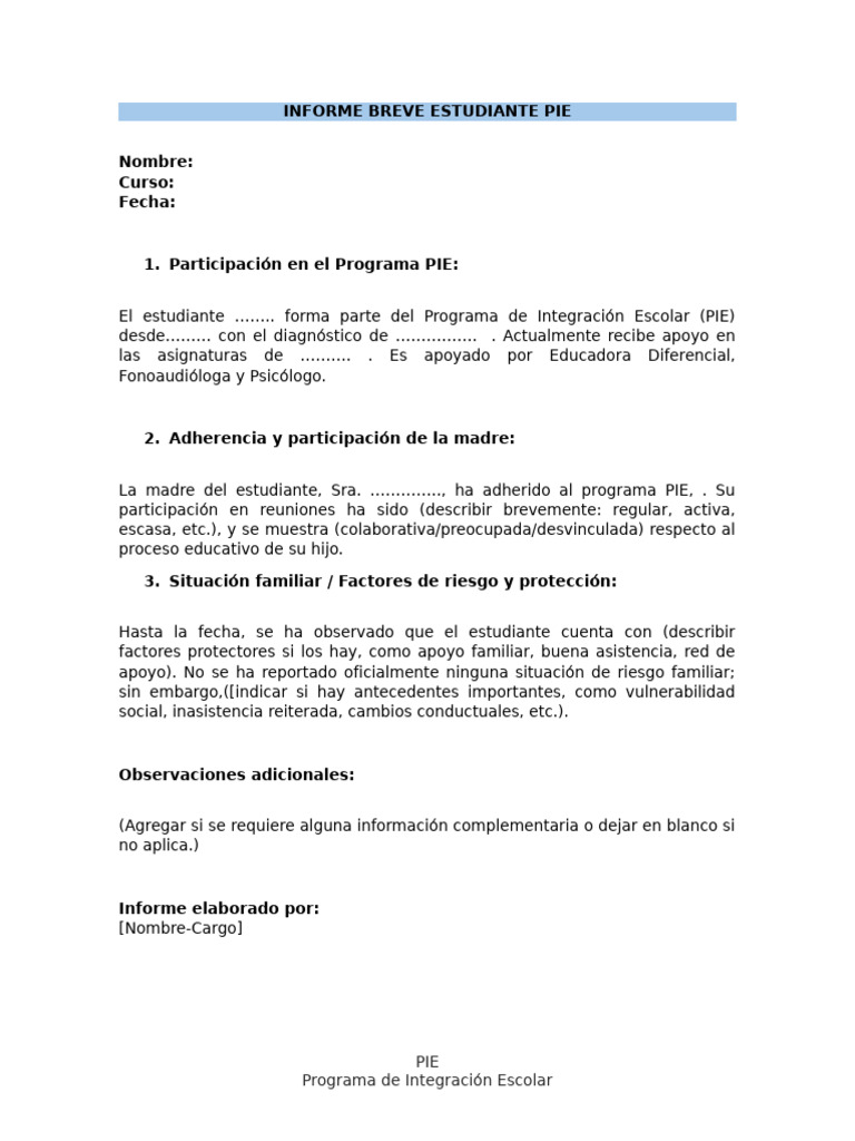 Informe Breve Estudiante Pie | PDF