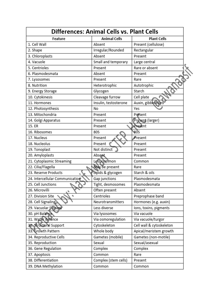 Animal Cell VS Plant Cell | PDF | Vacuole | Cell (Biology)