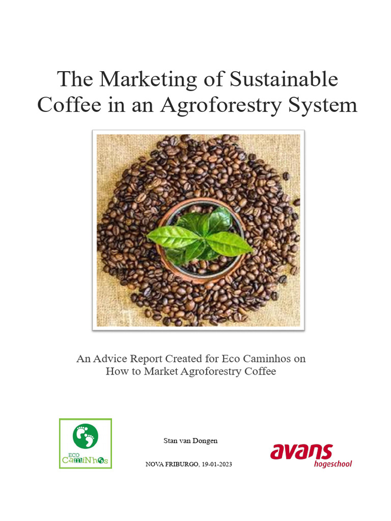 Marketing Sustainable Coffee Strategies | PDF | Agriculture | Coffee