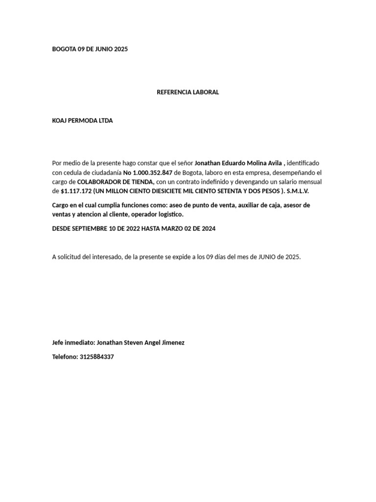 Referencia Laboral | PDF