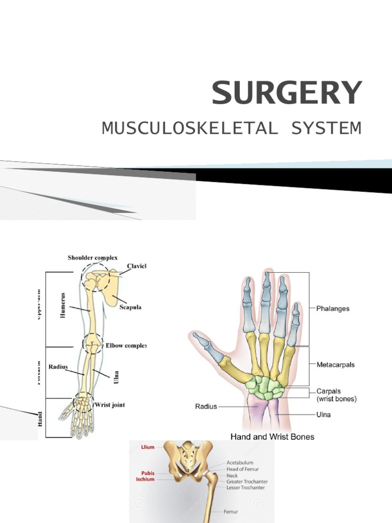 SURGERY - Musculoskeletal System CPT | PDF | Musculoskeletal System | Medical Specialties