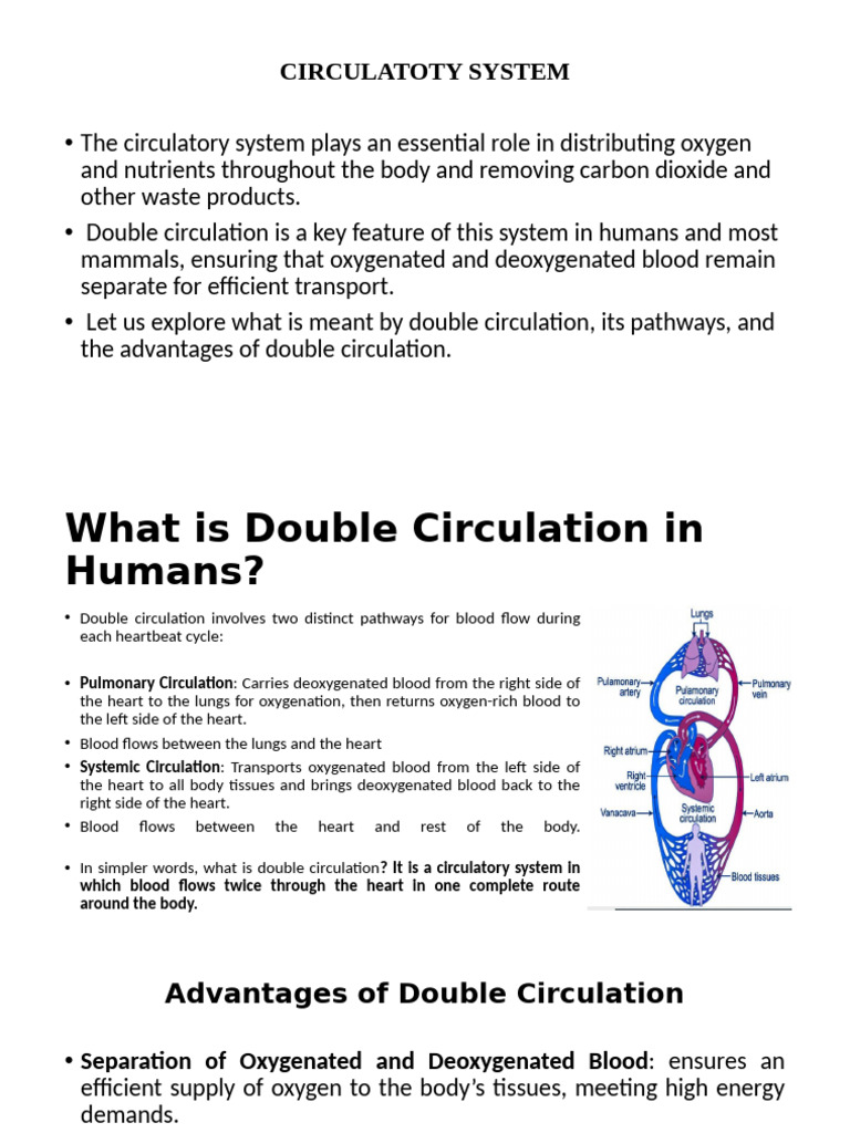 Advantages of Double Circulation Explained | PDF