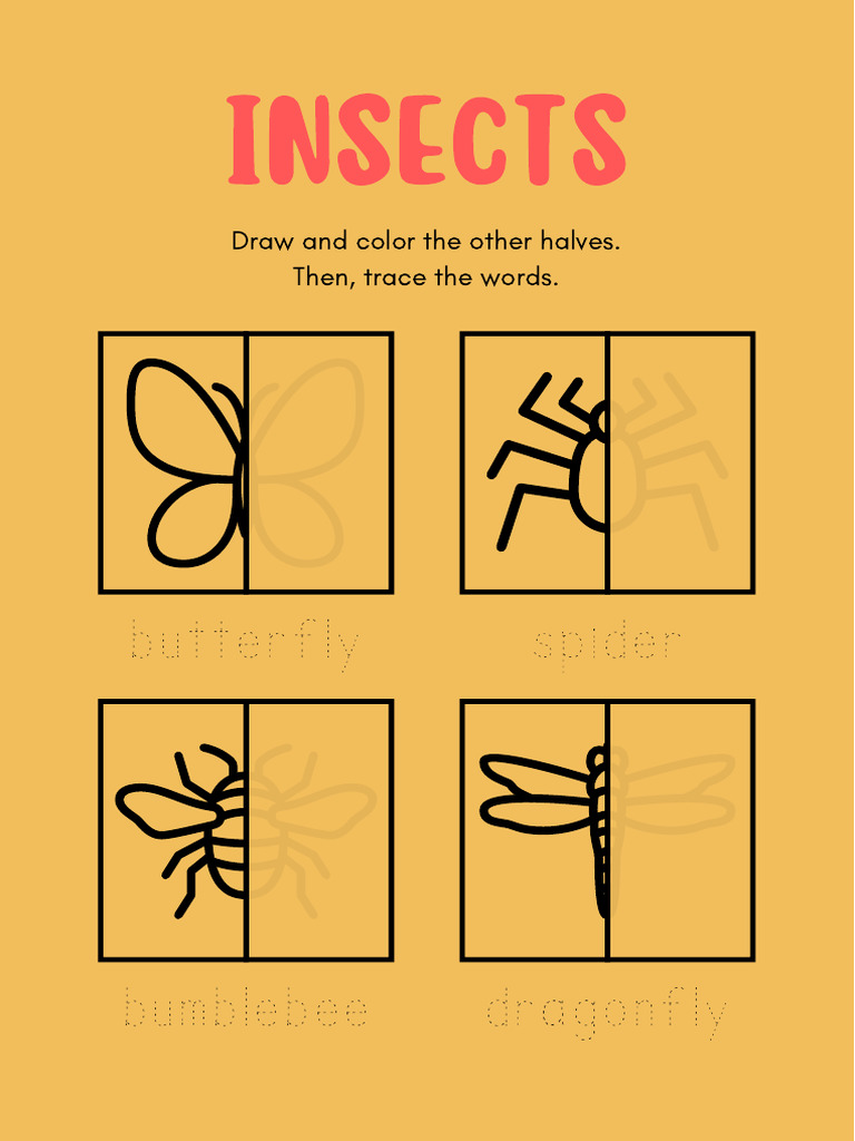 Insects Symmetry Worksheet in Orange Pink Fun Style | PDF