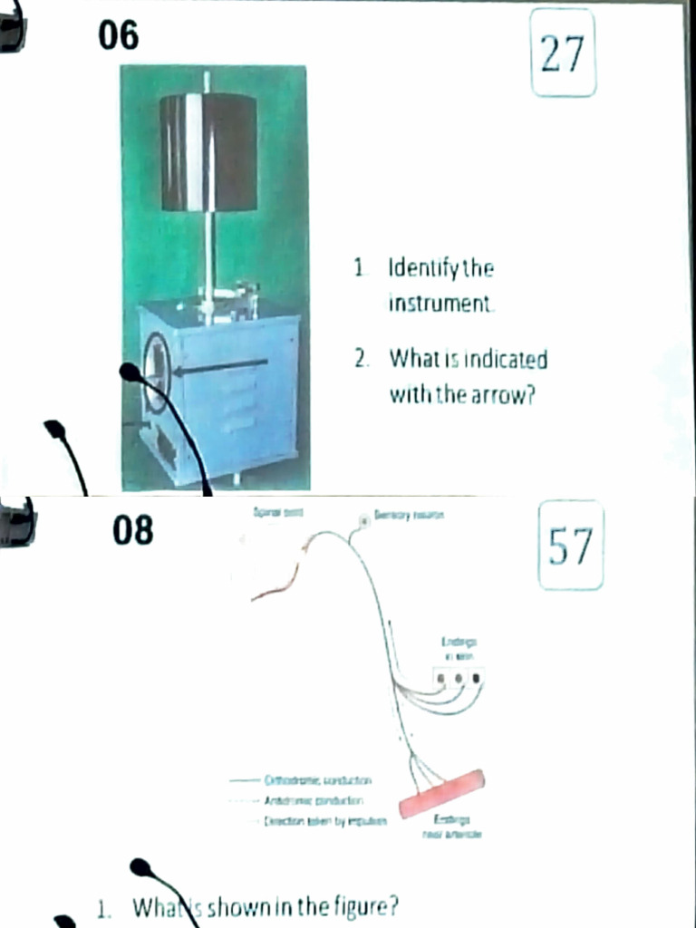 OSPE Physiology | PDF