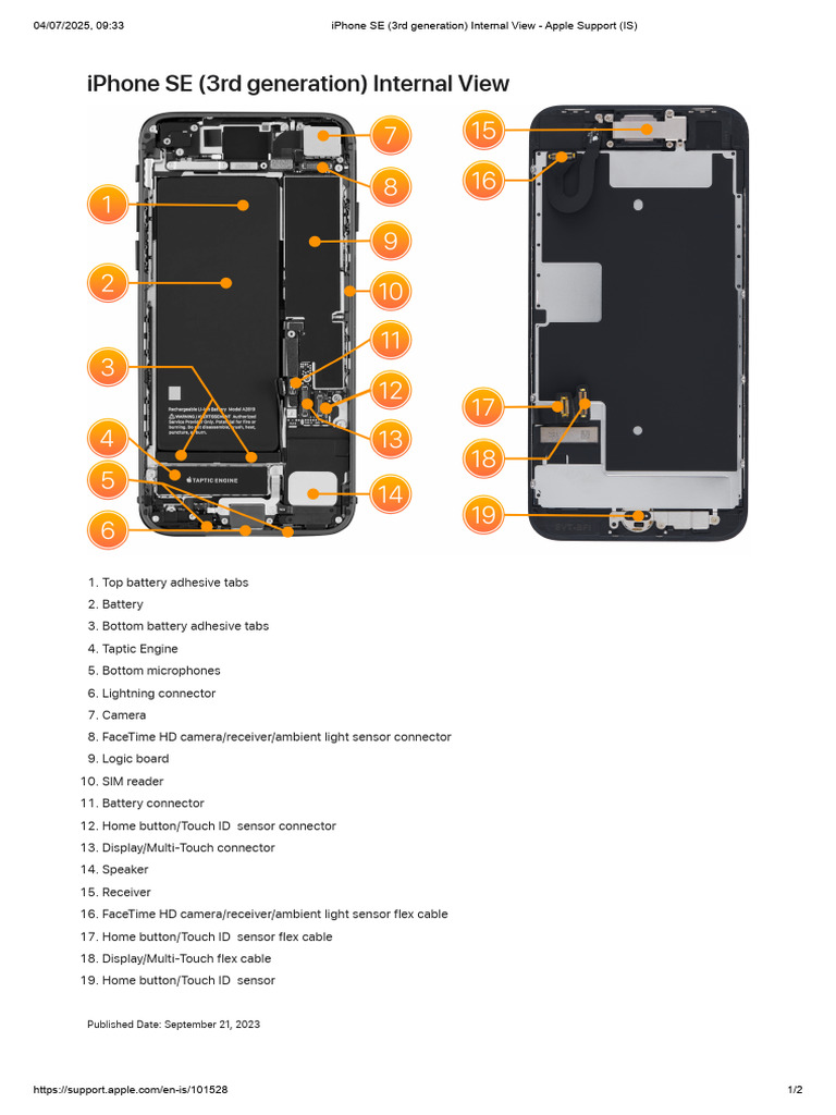 iPhone SE 3 Teardown Overview | PDF | I Phone | Electrical Connector