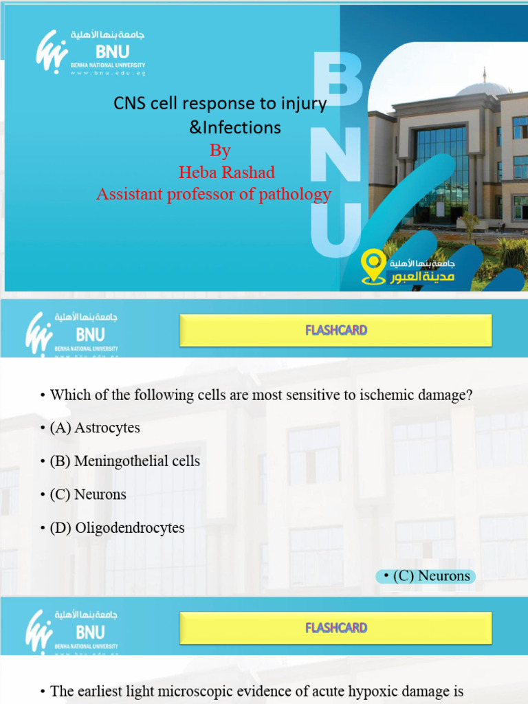 All Pathology Cns Flashcards | PDF | Cell Biology | Medical Specialties