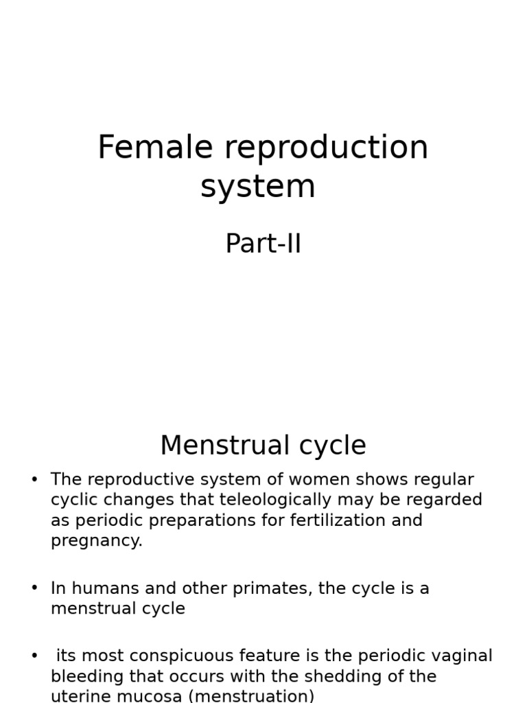 Female Repro System-2 | PDF | Menstrual Cycle | Estradiol