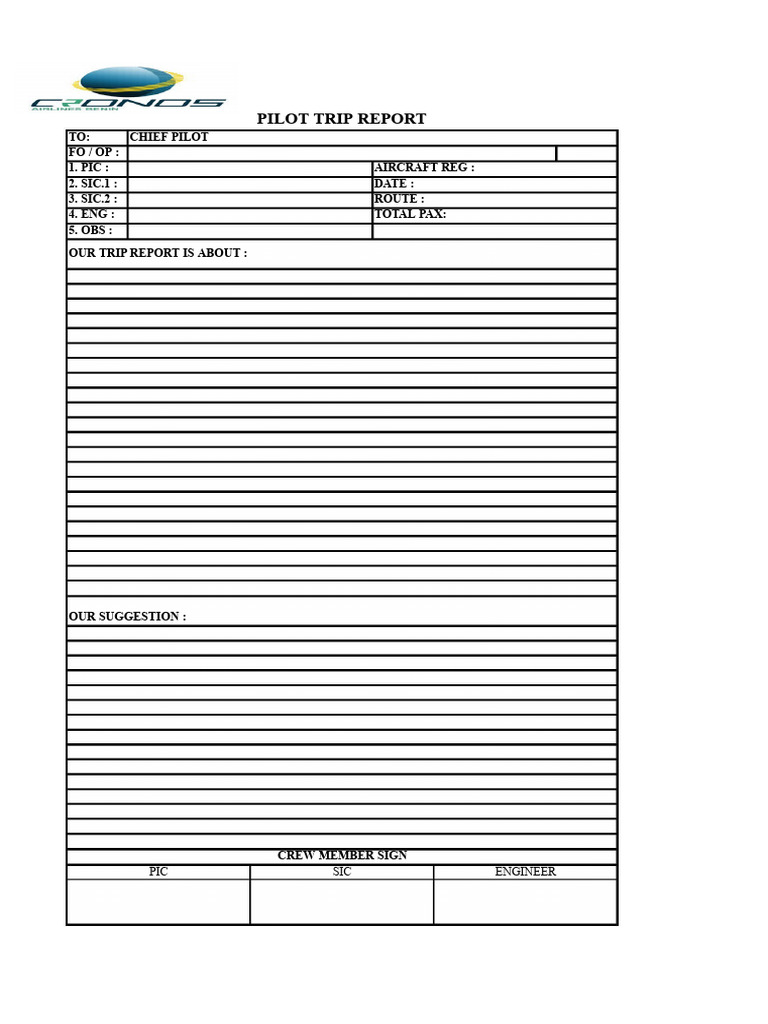 PILOT TRIP REPORT | PDF