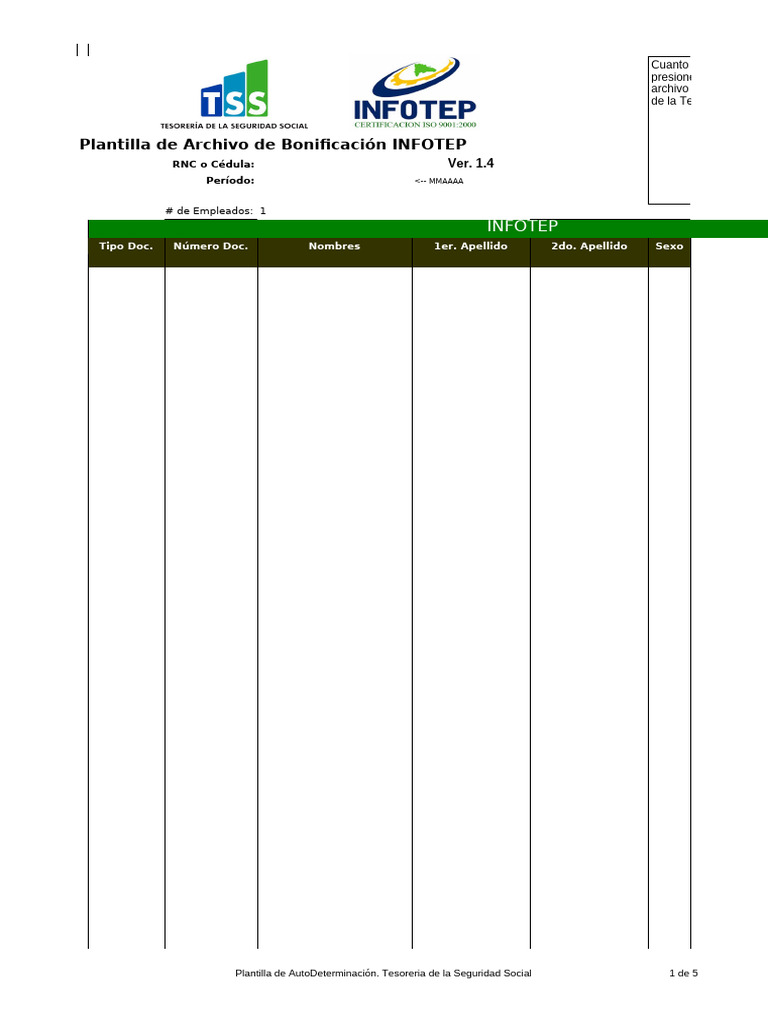 Plantilla AutoDeterminación TSS | PDF