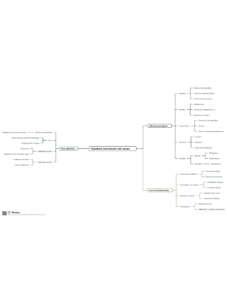 Org Visual | PDF