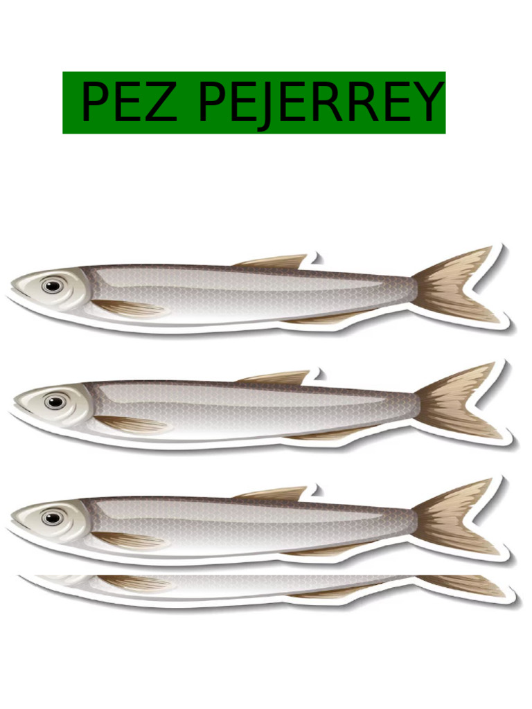 Pez Pejerrey | PDF