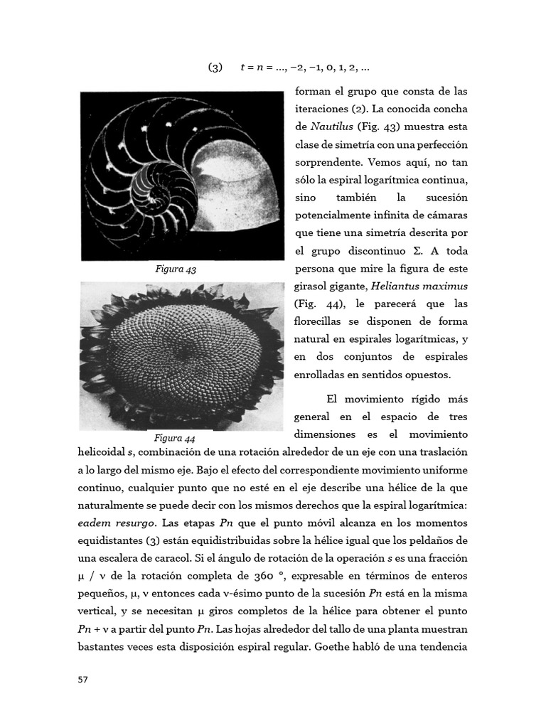 La Simetria - Weyl - 61-80 | PDF | Vector Euclidiano | Base (álgebra lineal)