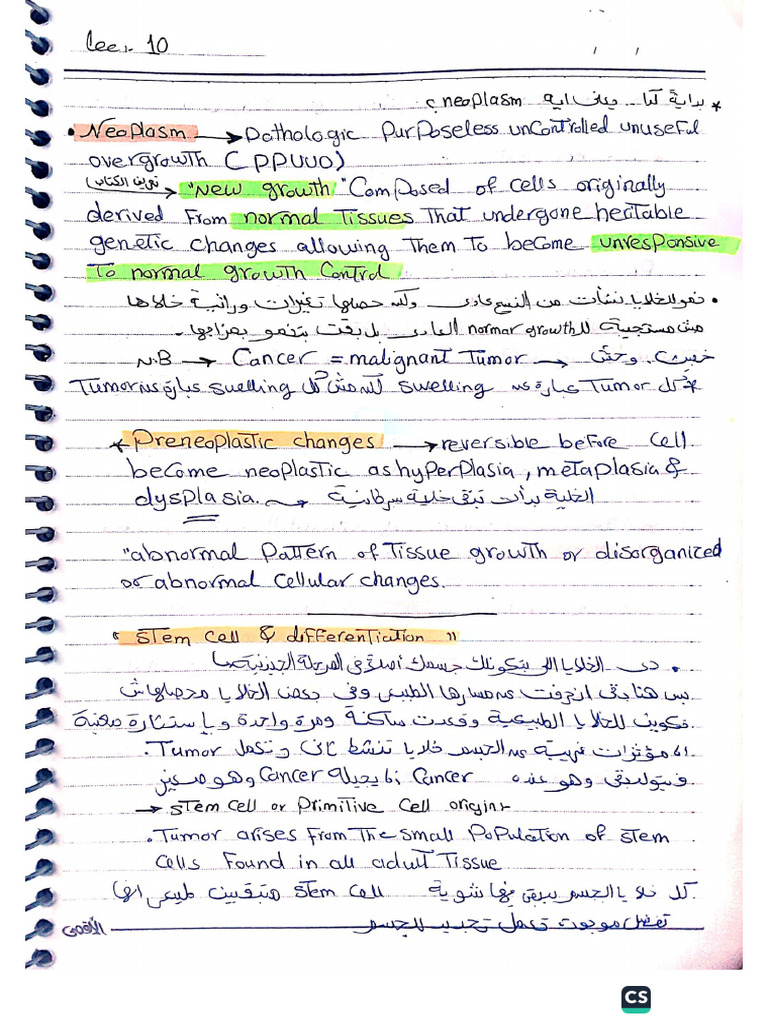 Lec 10. باثو | PDF