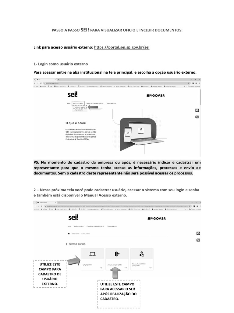 Passo A Passo Do Sei | PDF