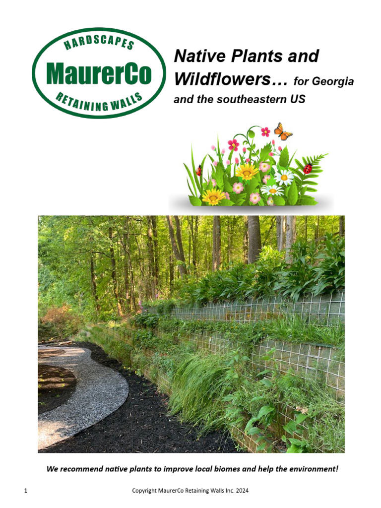 Native Plants Booklet 2025 - V2 | PDF | Plants | Pollinators