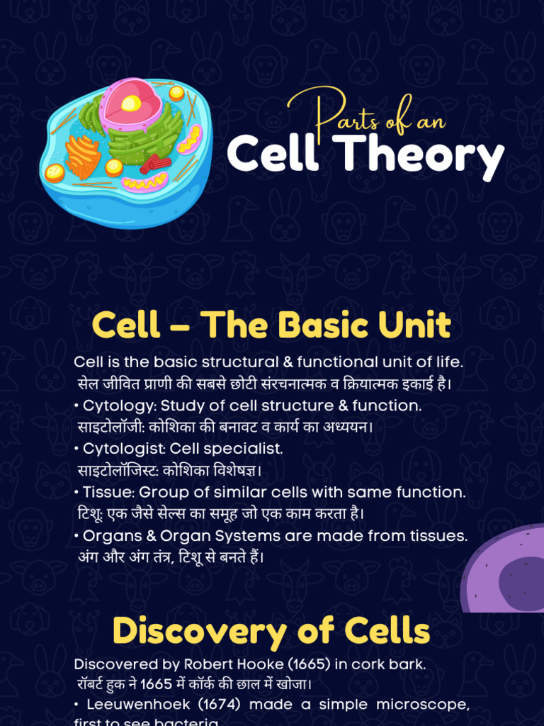 Cell Theory | PDF