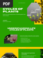 Grade 5 Plant Life Cycle Worksheet | PDF