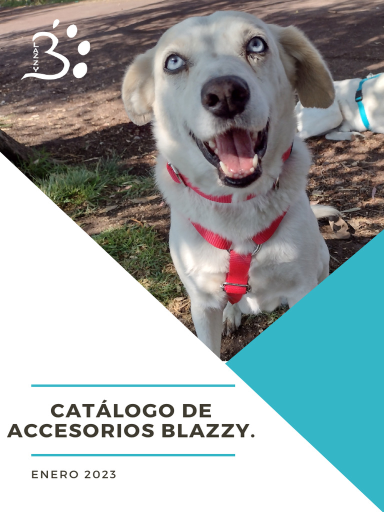 Catálogo Accesorios - 20241021 - 181158 - 0000 | PDF | Color | Arco iris