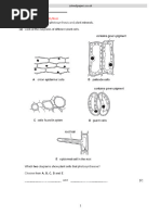 Electrolysis of Molten Lead 2 Bromide | PDF | Redox | Anode