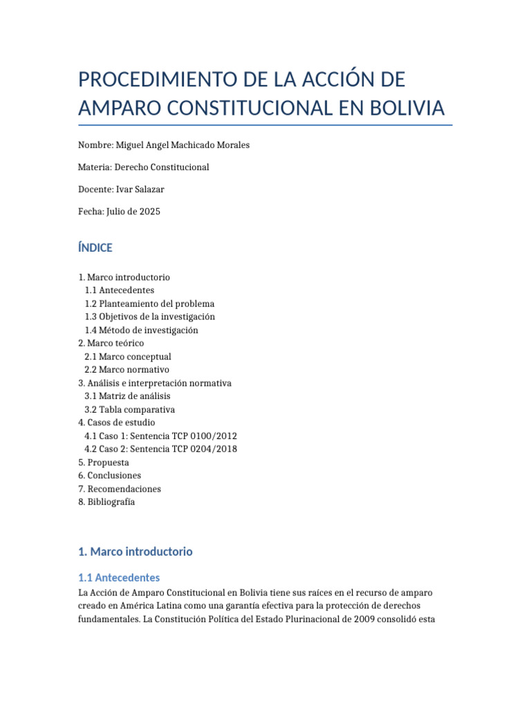 Accion de Amparo Constitucional Bolivia | PDF | Derecho Constitucional | Ley Pública