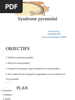 Syndrome Pyramidal | PDF | Système nerveux | Causes de décès