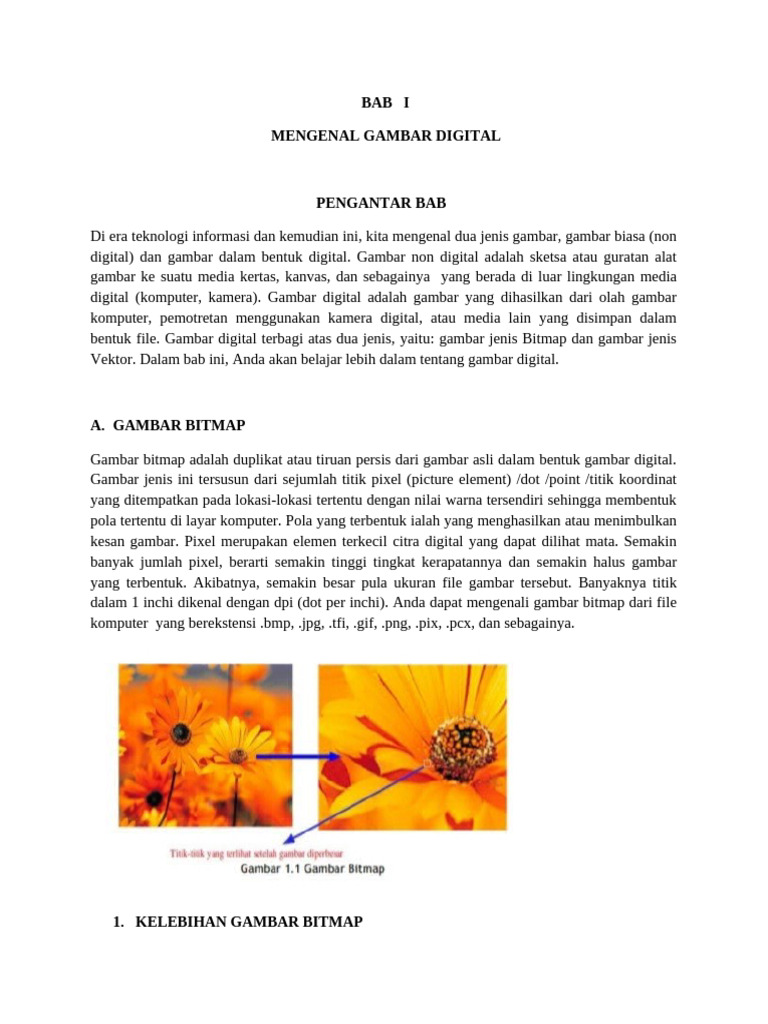 Memahami Gambar Digital: Bitmap & Vektor | PDF