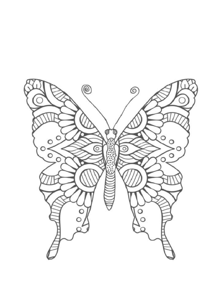 Mariposa | PDF