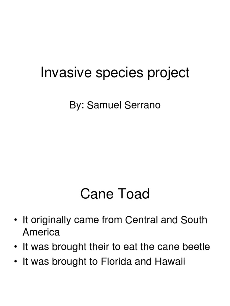 Invasive Species Project: By: Samuel Serrano | PDF | Home & Garden ...