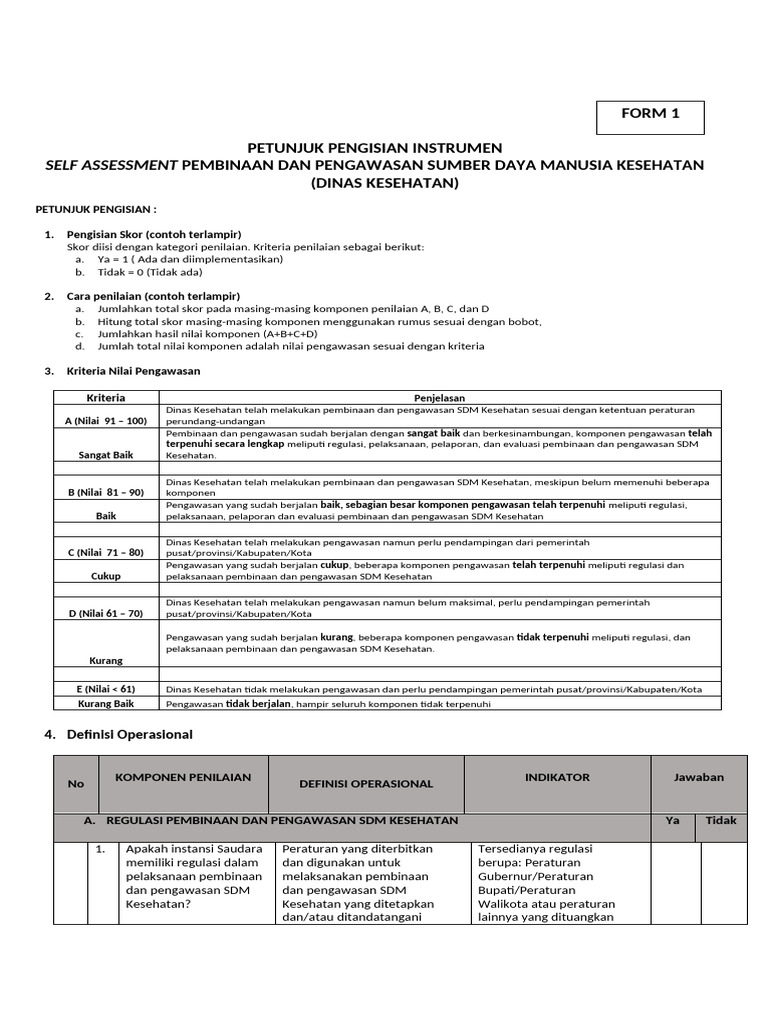 Form1 - Petunjuk Dan DO - Self Assesment Dinkes - 16 Apr 2025 | PDF