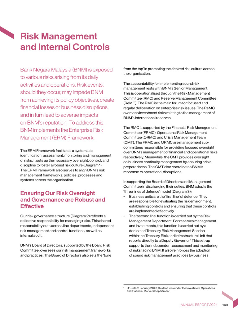 BNM's Enterprise Risk Management Framework | PDF | Internal Audit ...