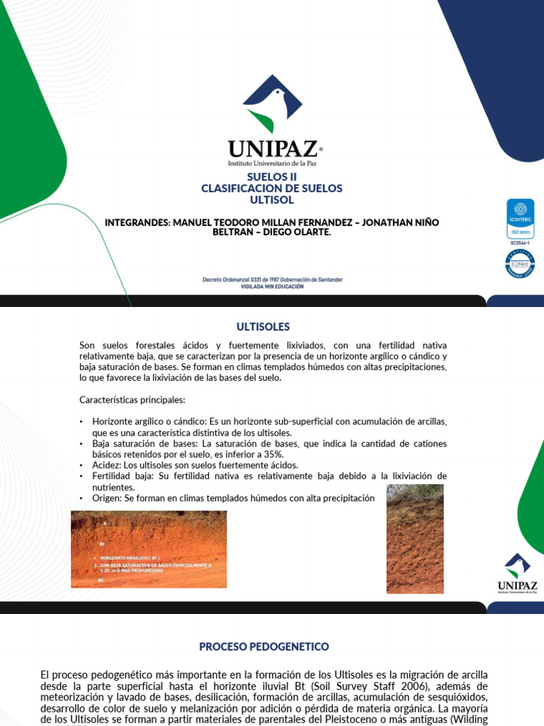 Ulti Soles | PDF | Suelo | Arcilla